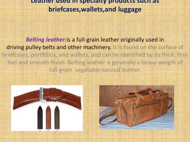 Leather Industry | Applied Chemistry | PPTX | Commodities | Economy