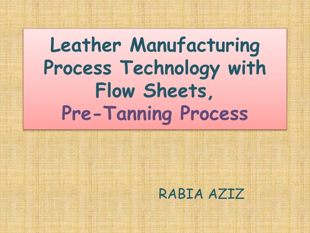 Leather Industry | Applied Chemistry | PPTX | Commodities | Economy