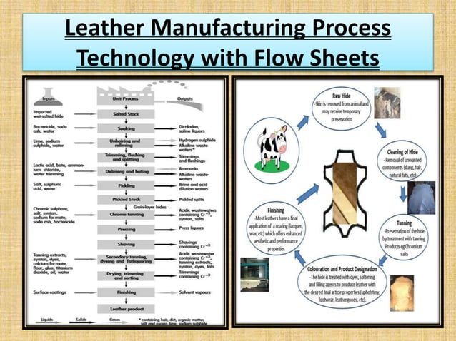 Leather Industry | Applied Chemistry | PPTX | Commodities | Economy