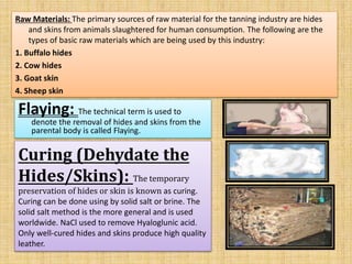 Leather Industry | Applied Chemistry | PPTX