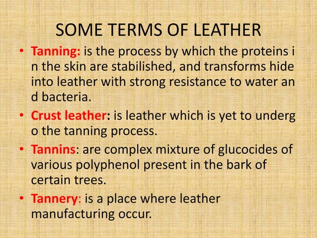 Leather Industry | Applied Chemistry | PPTX | Commodities | Economy