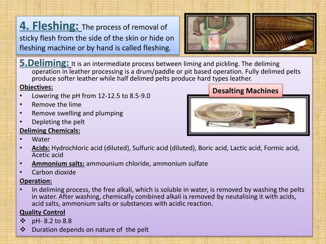 Leather Industry | Applied Chemistry | PPTX | Commodities | Economy