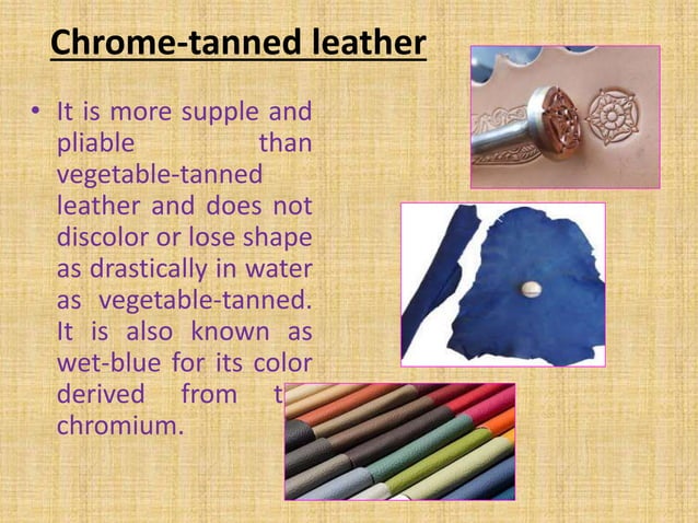 Leather Industry | Applied Chemistry | PPTX | Commodities | Economy