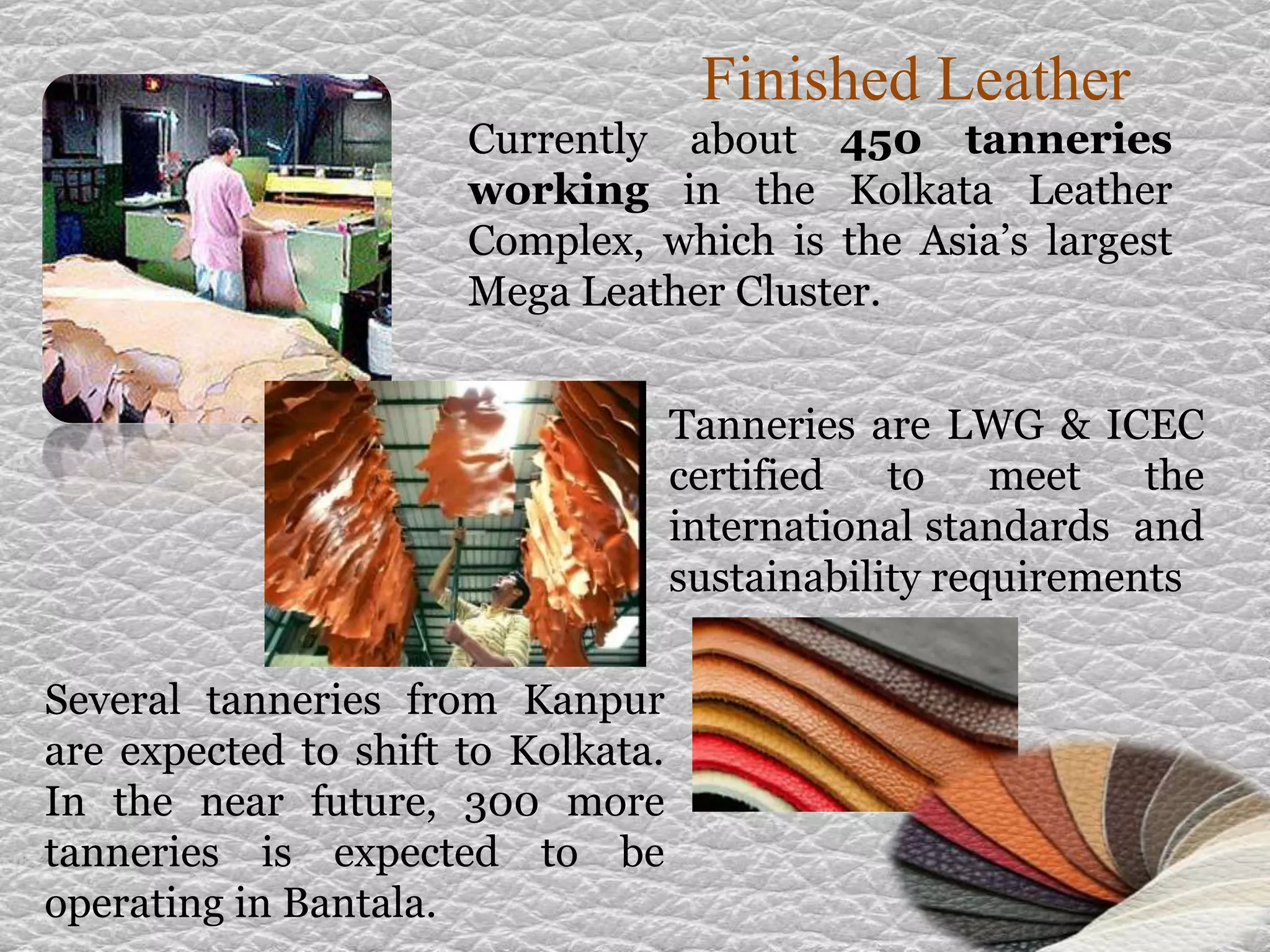 KOLKATA Leather Industry | PPTX