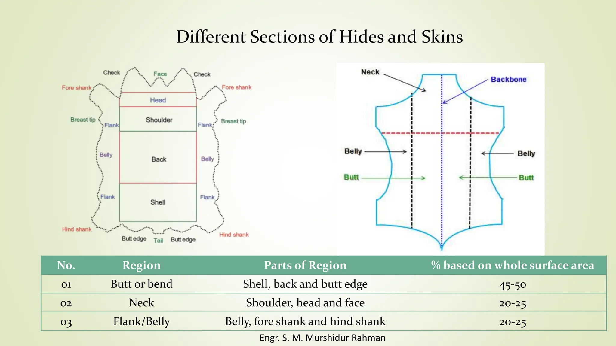 Leather (Hide or Skin) Manufacturing Processes | PPTX