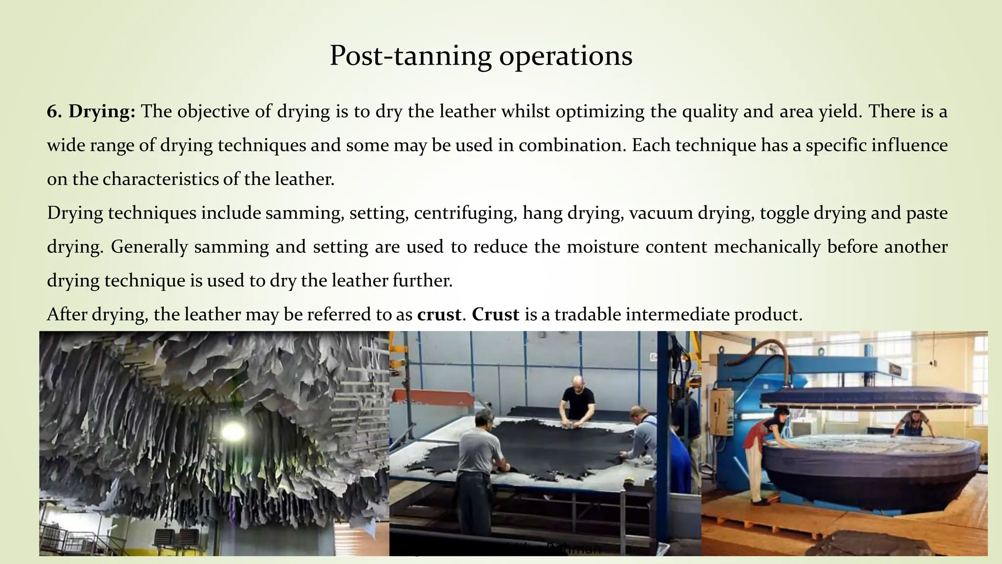 Leather (Hide or Skin) Manufacturing Processes | PPTX