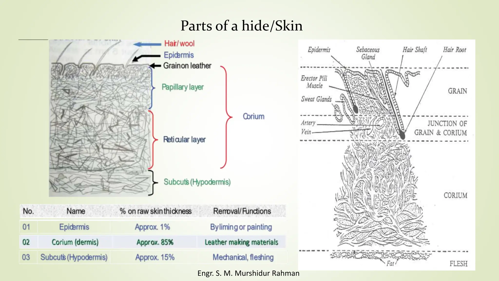 Leather (Hide or Skin) Manufacturing Processes | PPTX