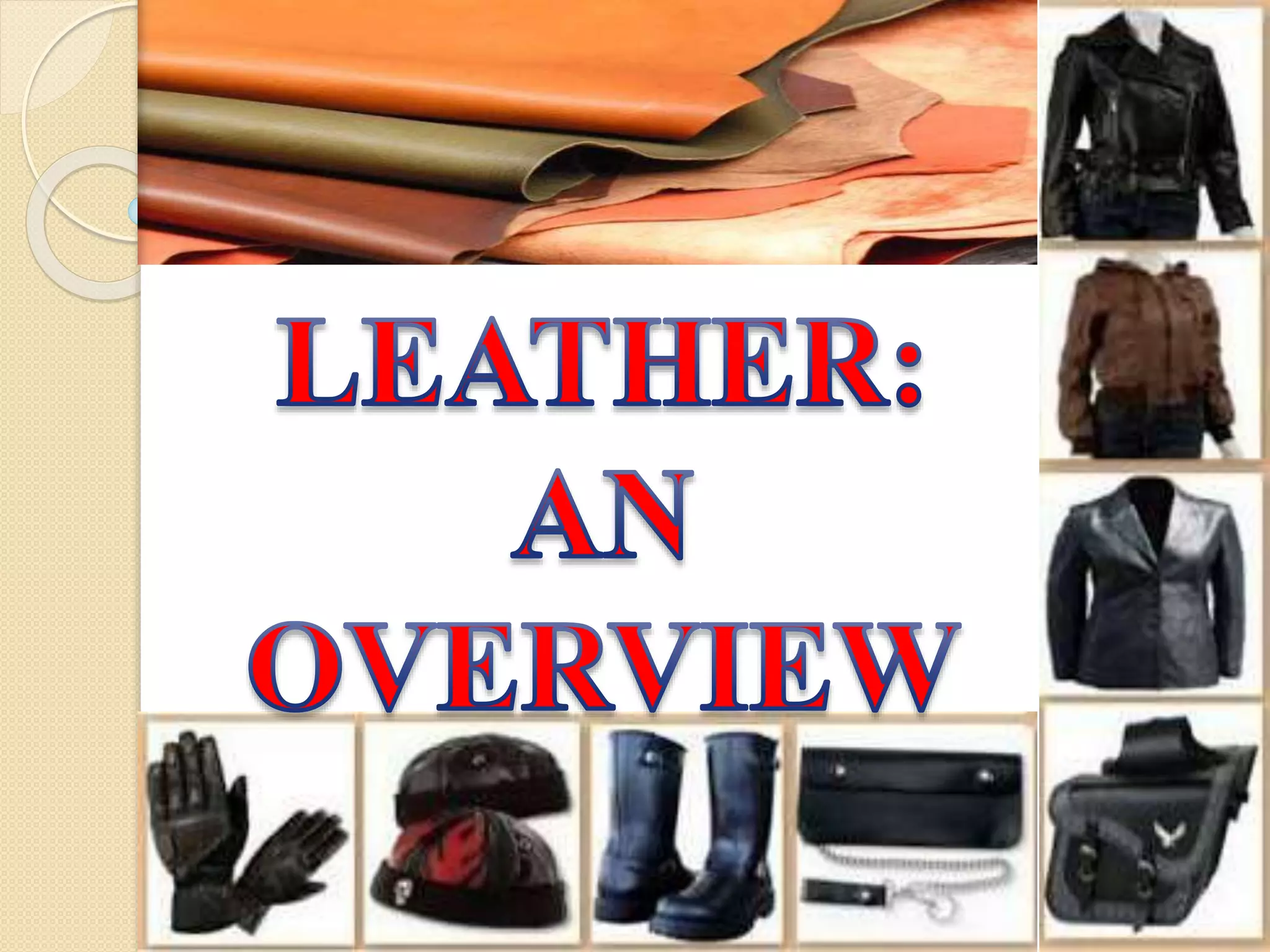 Leather presentation by ARPANA KAMBOJ | PPTX