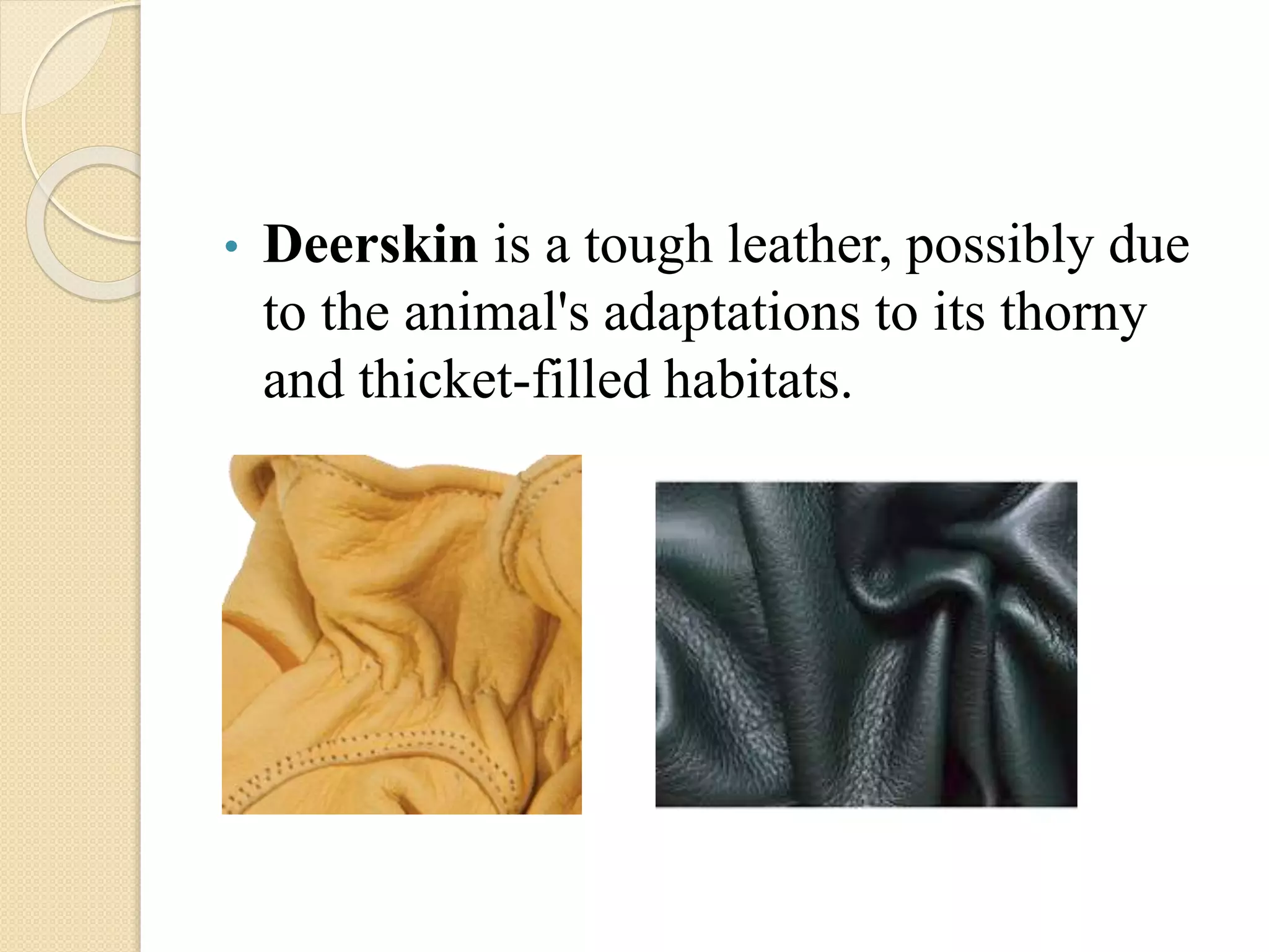 Leather presentation by ARPANA KAMBOJ | PPTX