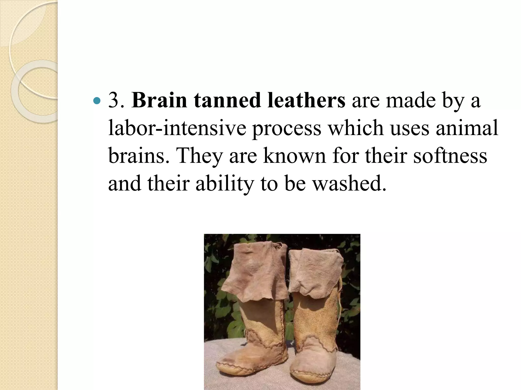 Leather presentation by ARPANA KAMBOJ | PPTX