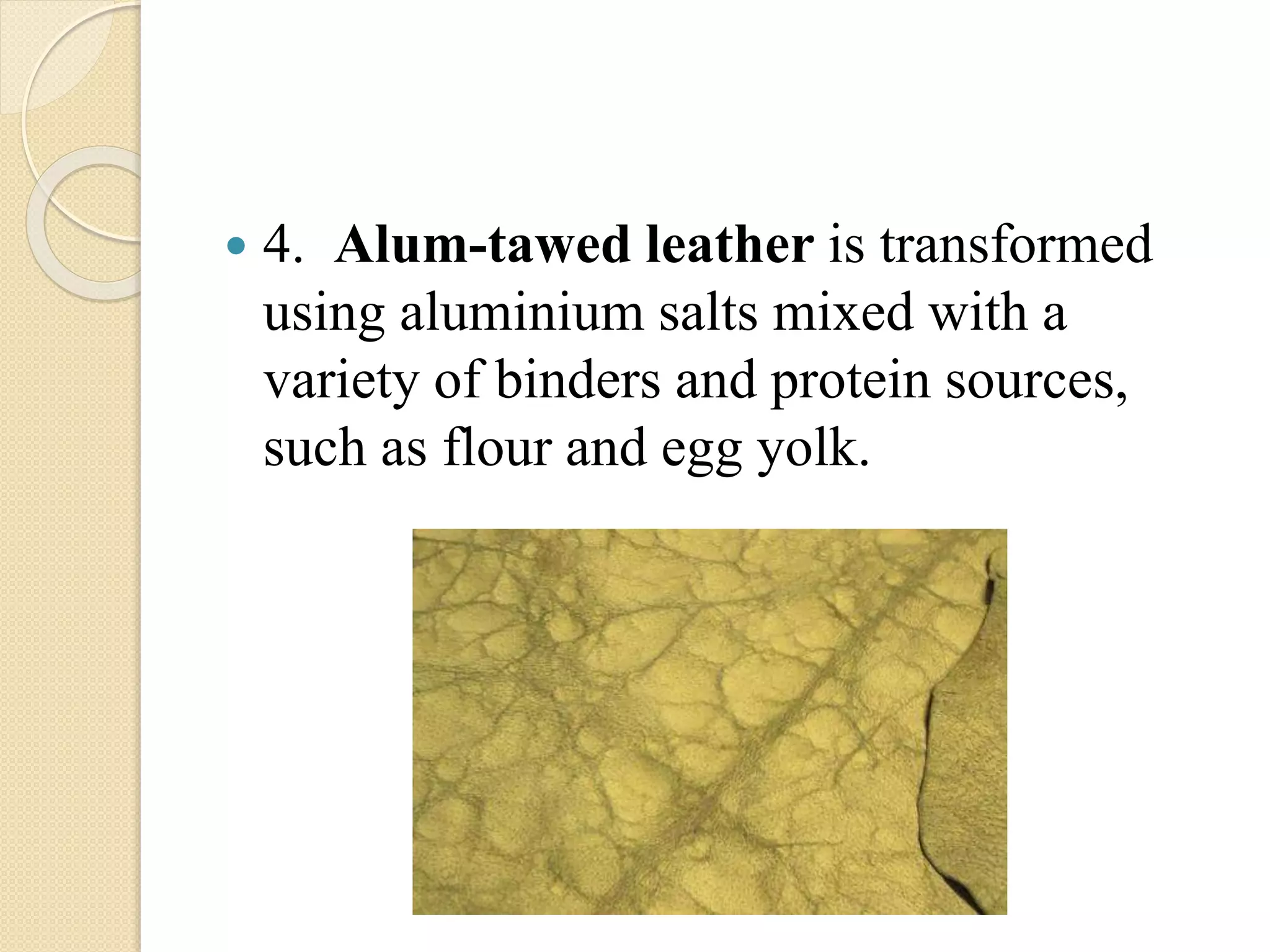 Leather presentation by ARPANA KAMBOJ | PPTX