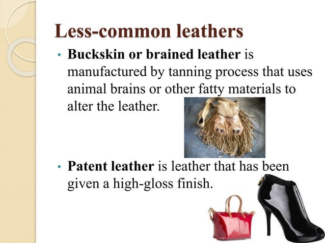 Leather presentation by ARPANA KAMBOJ | PPTX