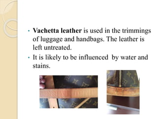 Leather presentation by ARPANA KAMBOJ | PPTX