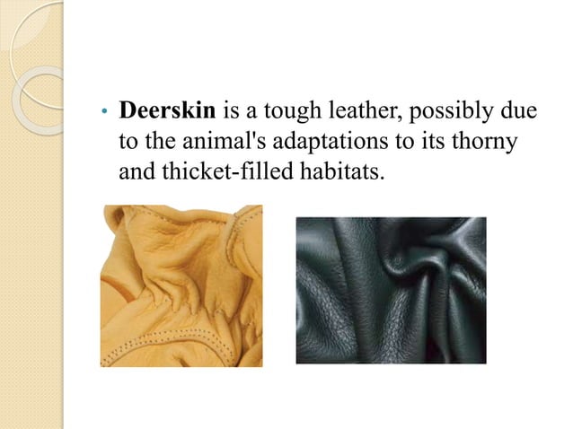 Leather presentation by ARPANA KAMBOJ | PPTX