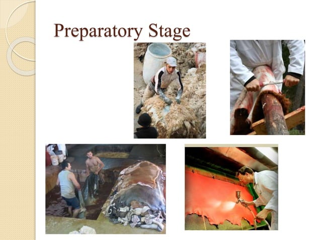 Leather presentation by ARPANA KAMBOJ | PPTX