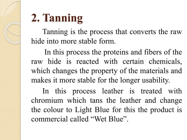 Leather presentation by ARPANA KAMBOJ | PPTX