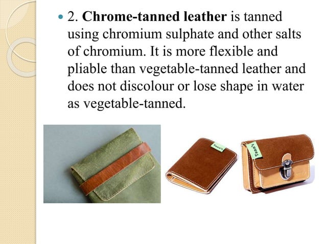 Leather presentation by ARPANA KAMBOJ | PPTX