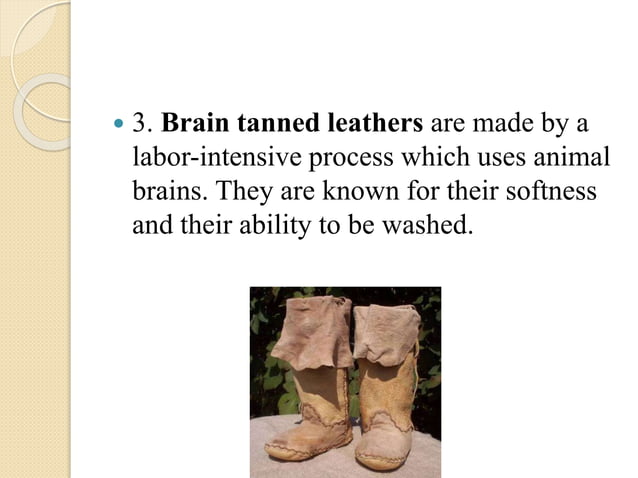 Leather presentation by ARPANA KAMBOJ | PPTX