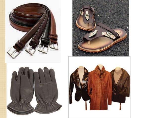 Leather presentation by ARPANA KAMBOJ | PPTX