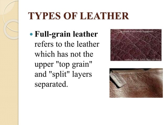 Leather presentation by ARPANA KAMBOJ | PPTX