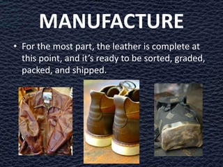 Leather processing | PPTX