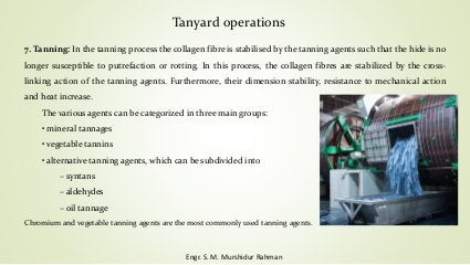 Leather Manufacturing Process | PPTX