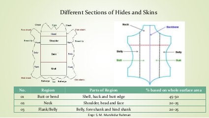 Leather Manufacturing Process | PPTX
