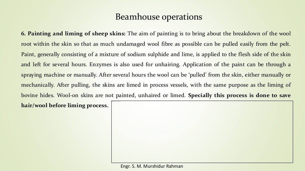 Leather Manufacturing Process | PPTX