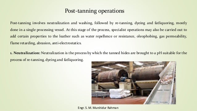 Leather Manufacturing Process | PPTX