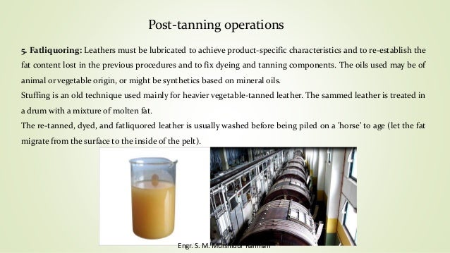 Leather Manufacturing Process | PPTX