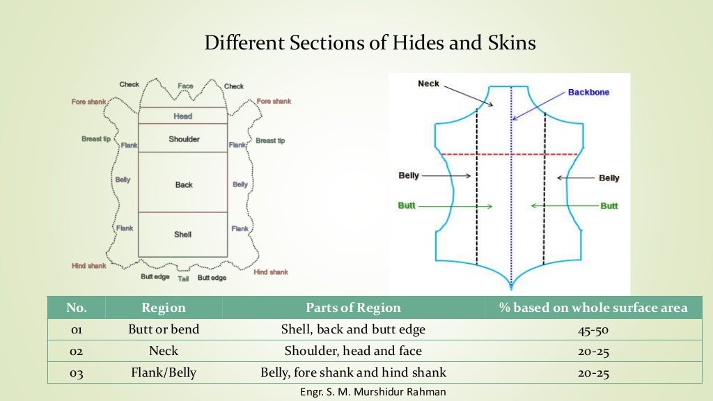 Leather Manufacturing Process | PPTX