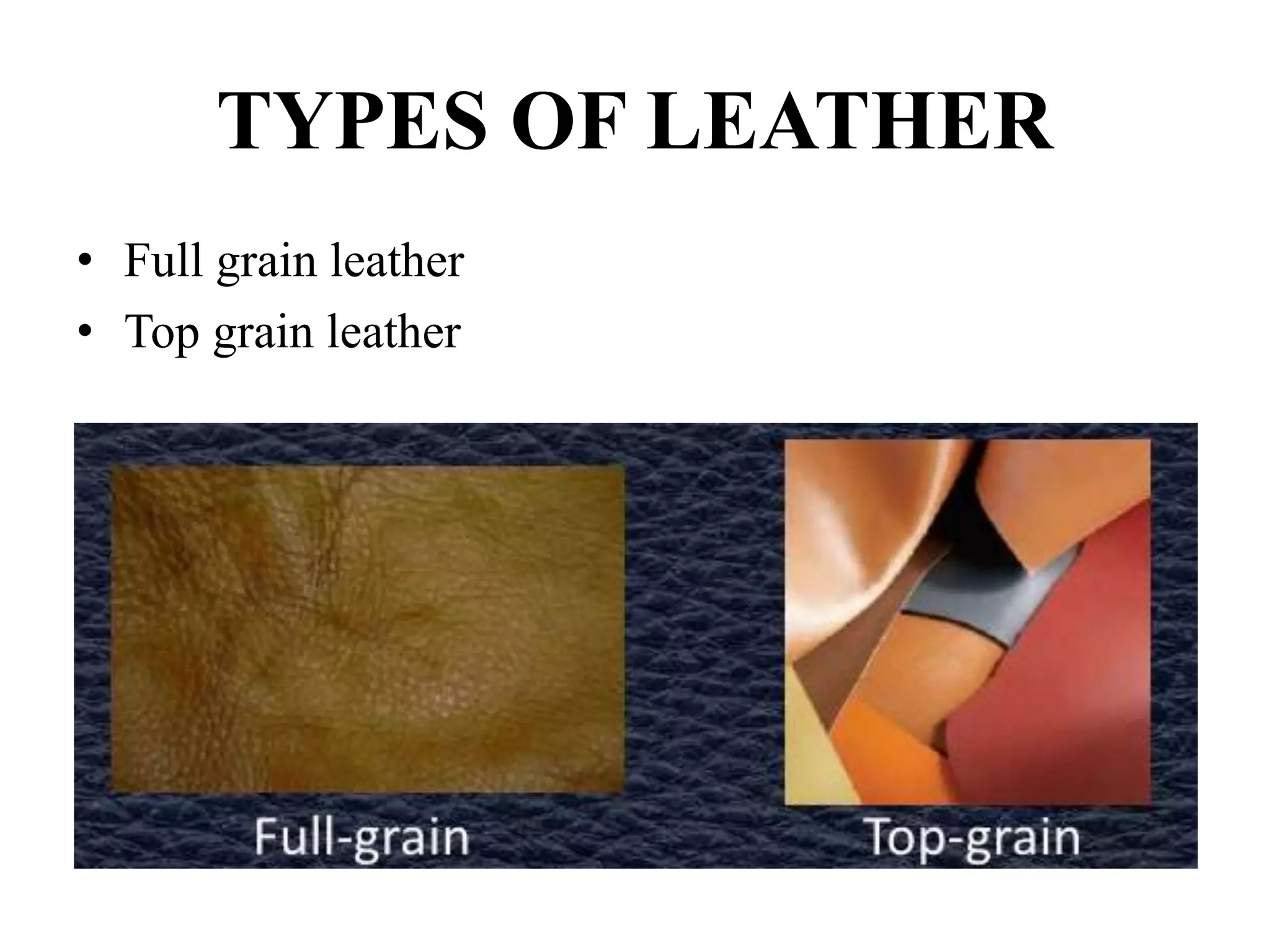 Leather technology 1 | PPTX