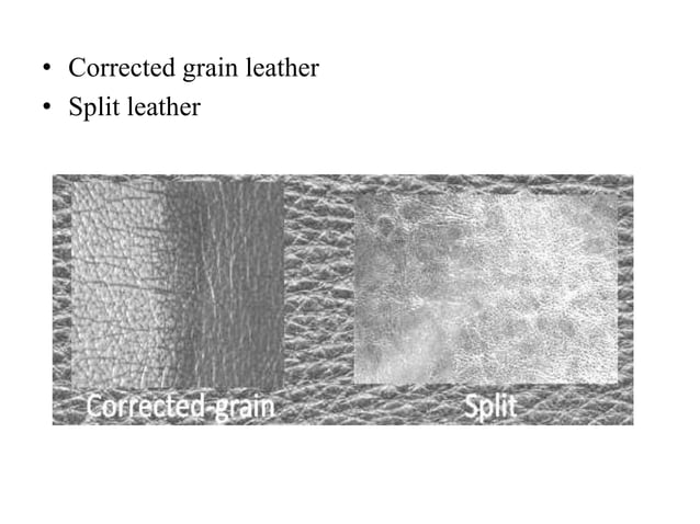 Leather technology 1 | PPTX