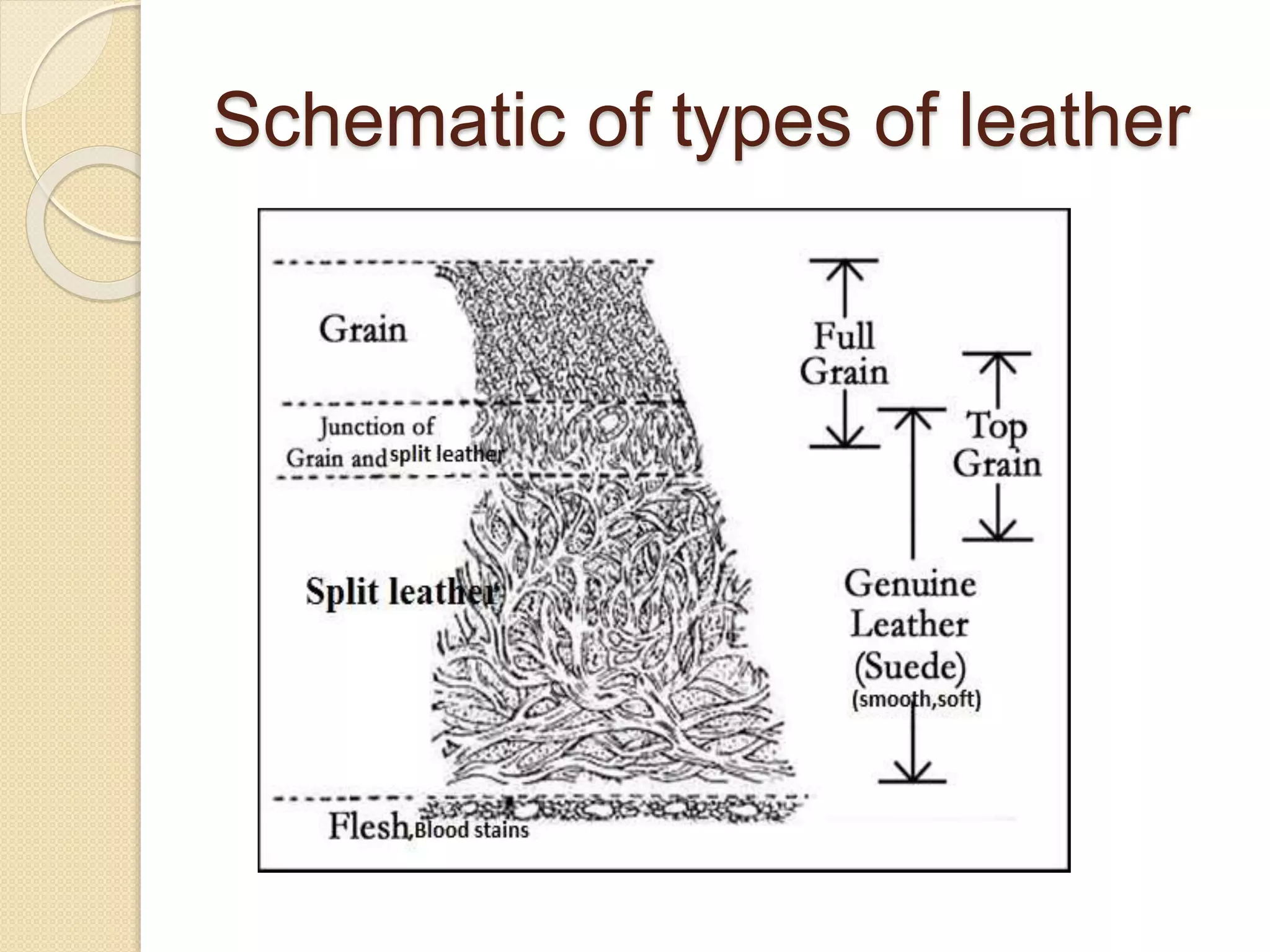 Leather technology | PPTX