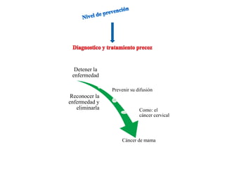 niveles de prevención de leavell y clark | PDF