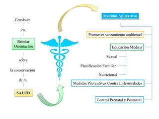 niveles de prevención de leavell y clark | PDF