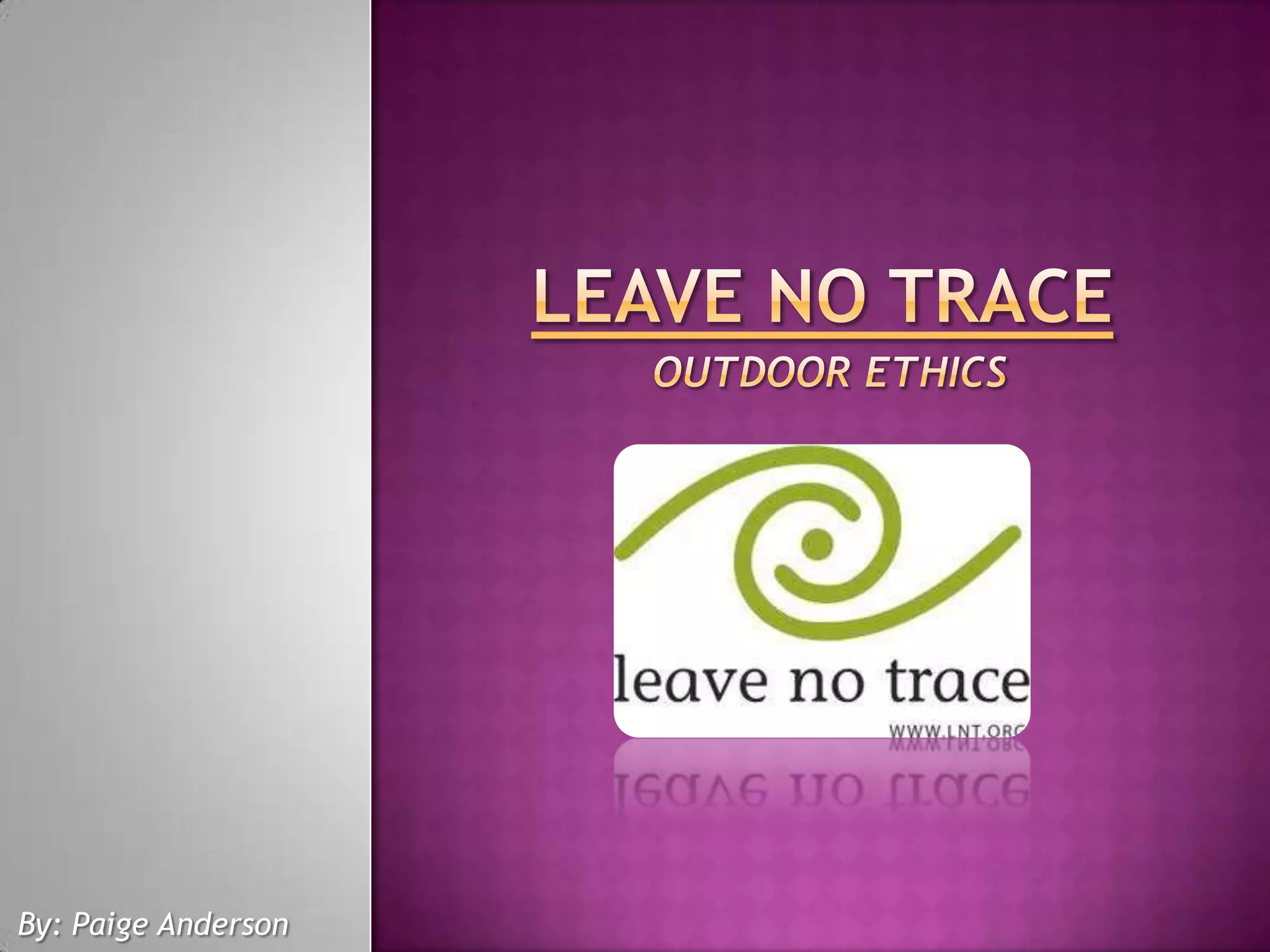 Paige Anderson's LNT | PPT