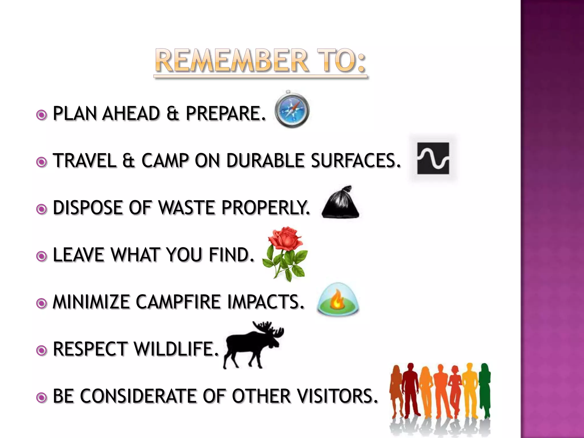 Paige Anderson's LNT | PPT