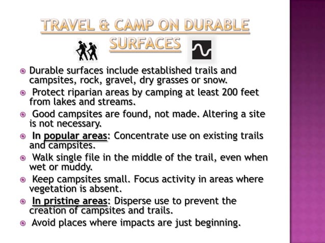 Paige Anderson's LNT | PPT