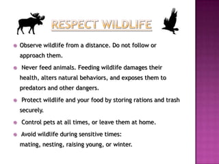 Paige Anderson's LNT | PPT