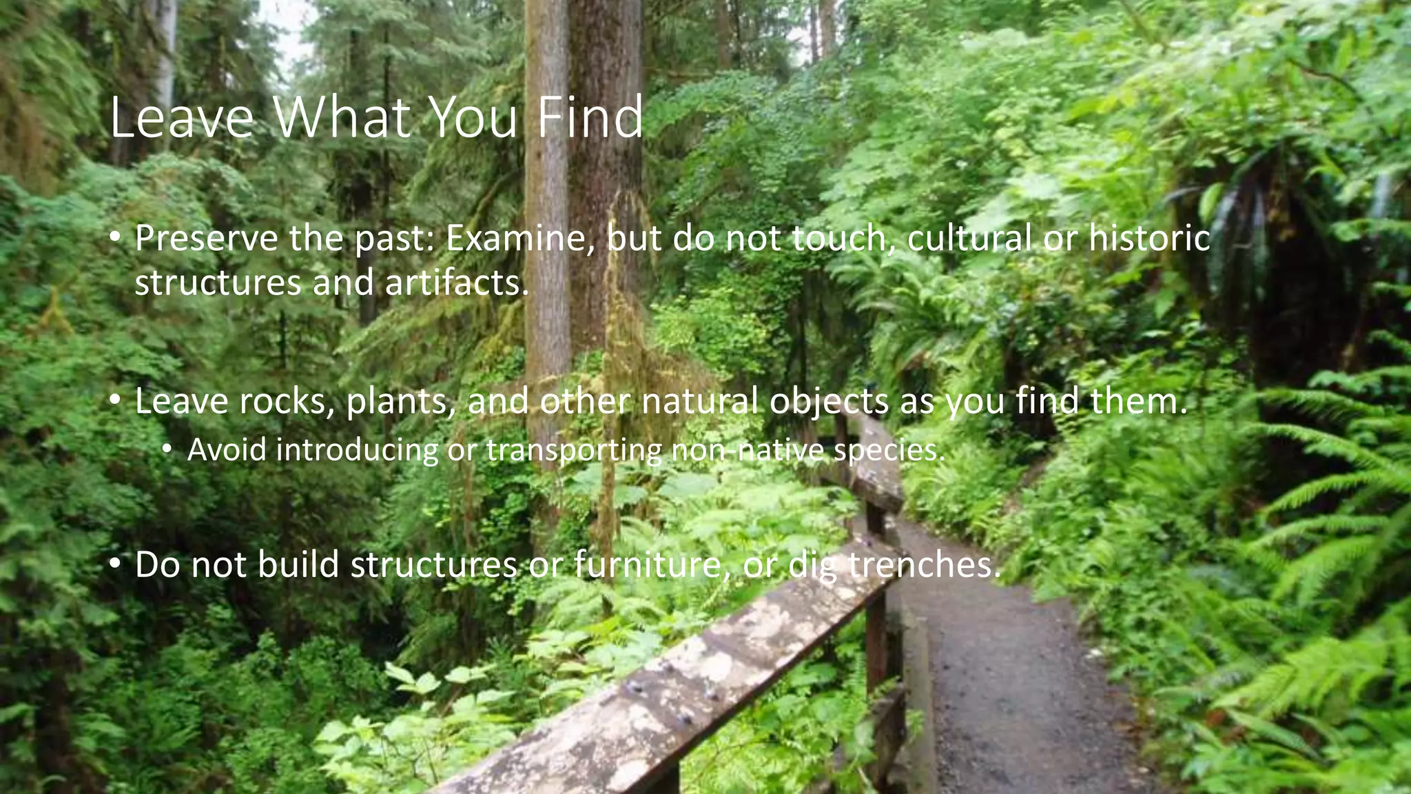 The Seven Principles of Leave No Trace | PPTX