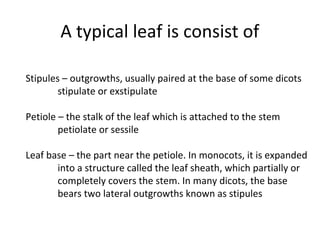 Leaves | PPT