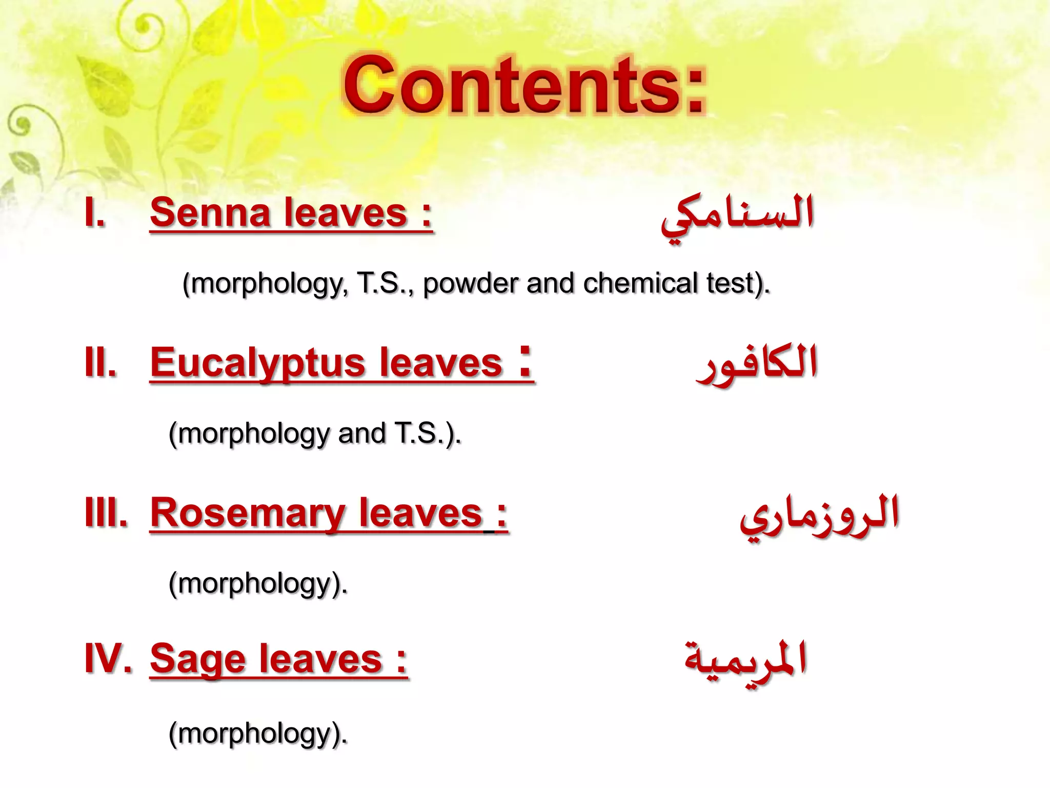leaves (senna, eucalyptus, rosemary & sage) | PPTX