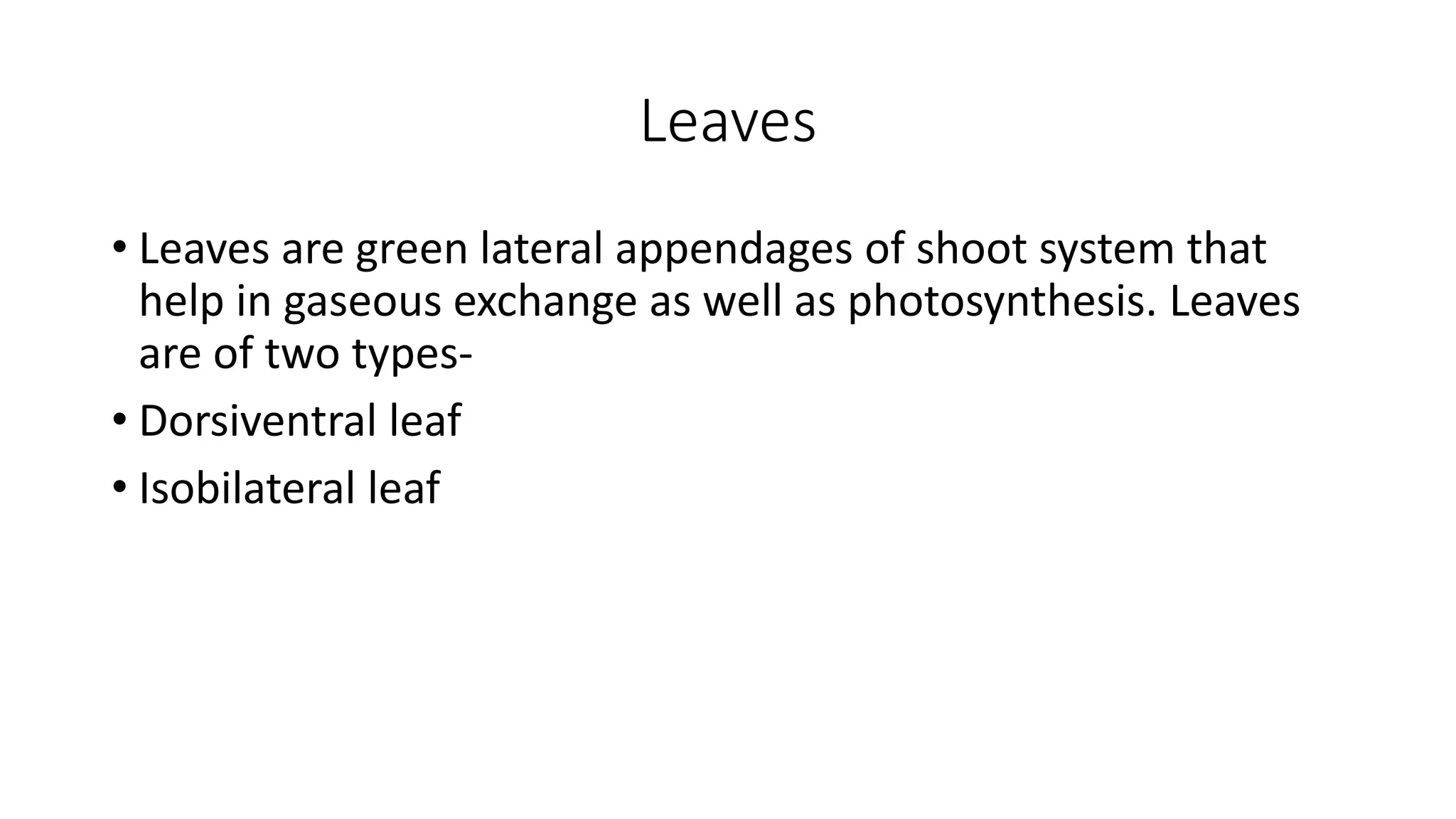 Leaves | PPTX