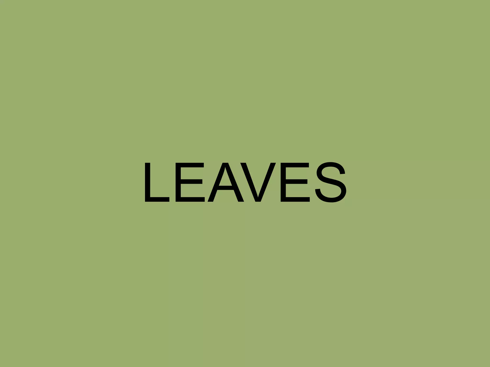 leaves.ppt