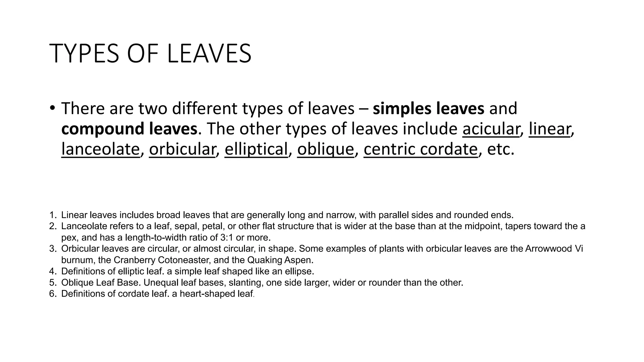 LEAVES.pptx | Geography | Science