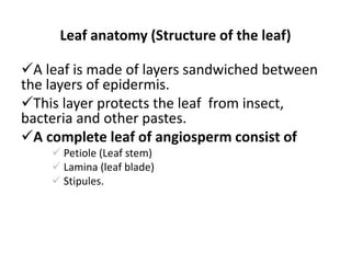 Leaves2.ppt
