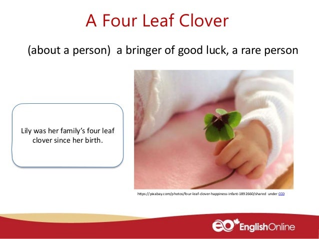 Leaves Idioms.pptx