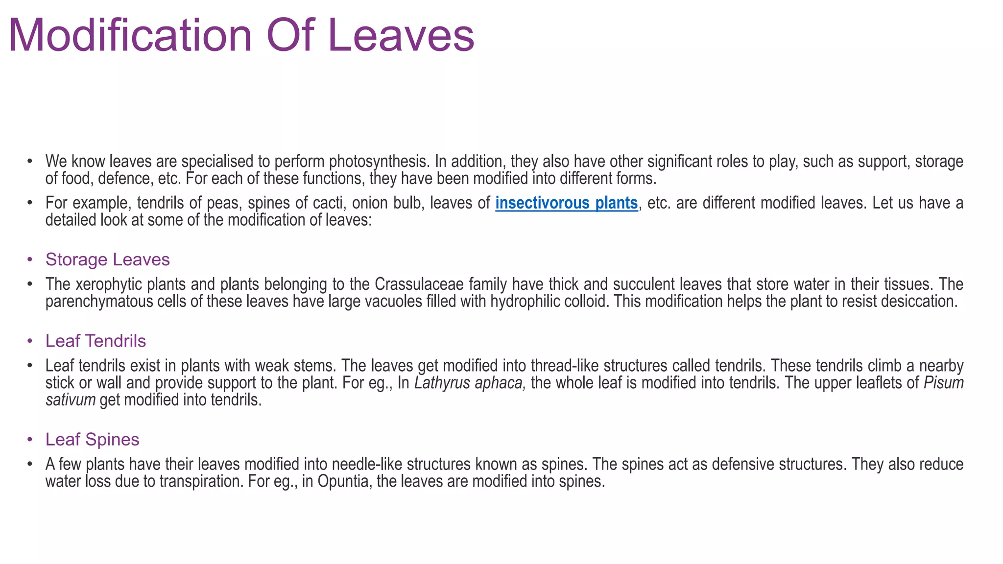 Leaves modifications.pptx