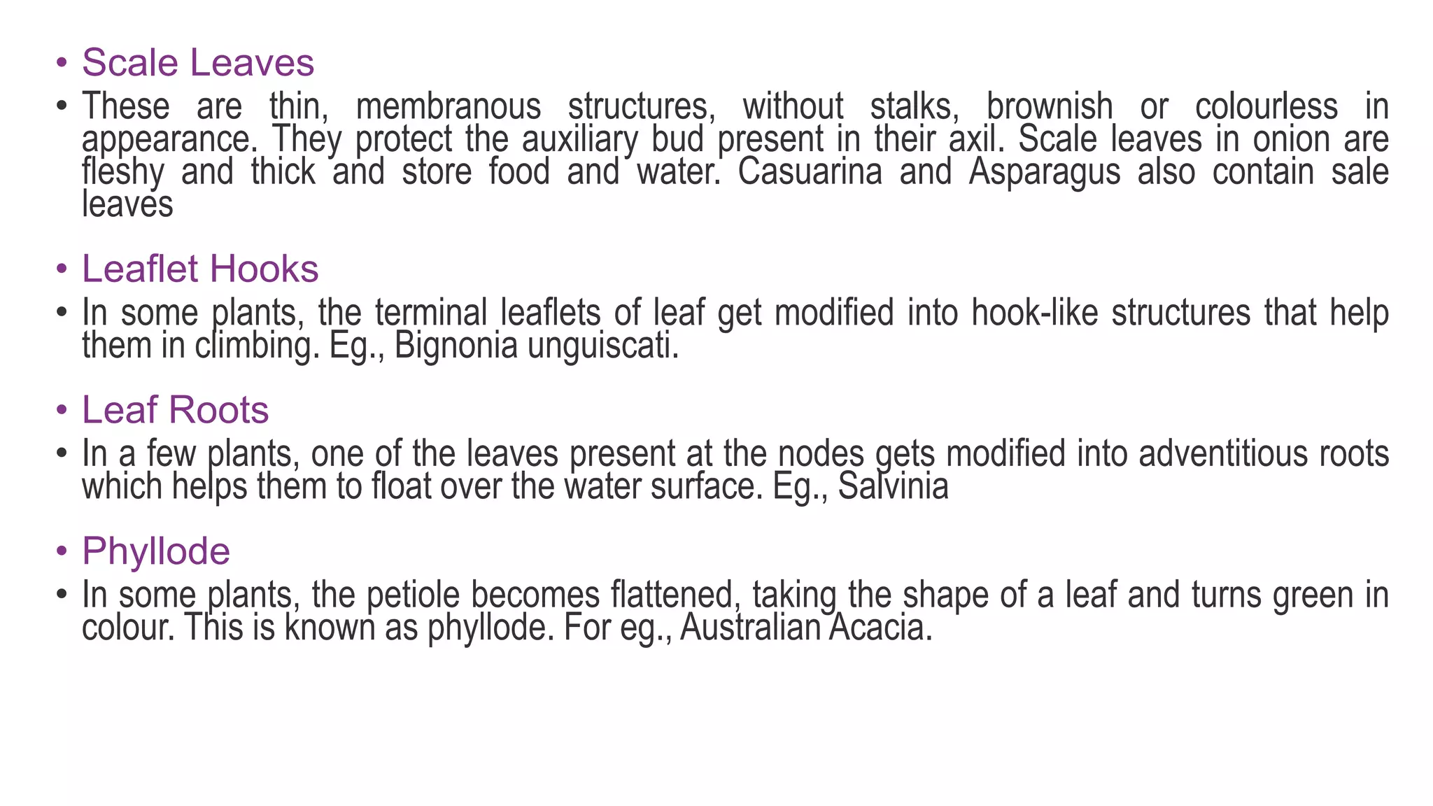 Leaves modifications.pptx